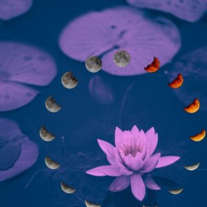 Sixteen Kalaas of Moon